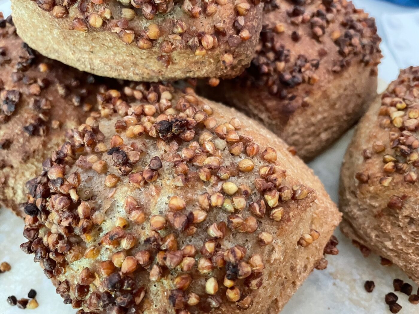 Boller med glutenfri surdej - opskrift på surdejsboller uden gluten - Bagestål.dk